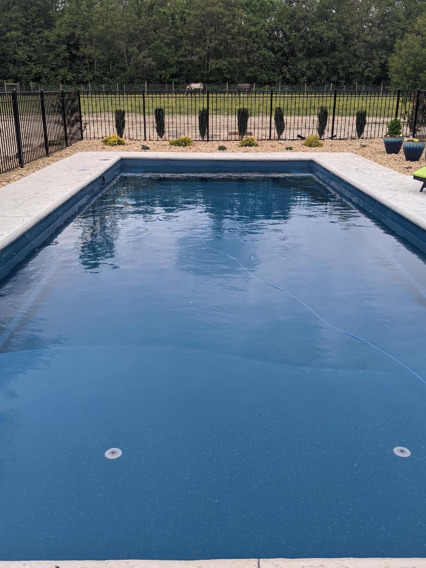 Fiberglass Pool Colors
